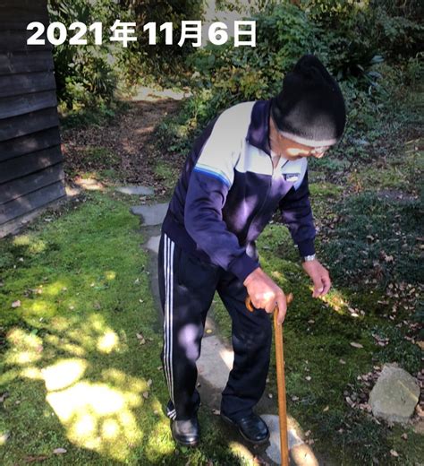 歳をとるという事。初め4本足、次に2本足、3本足になっていく人間？ りんごのむし