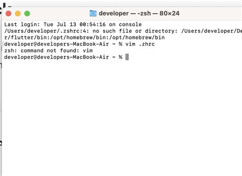 flutter zsh command not found vim stack overflow