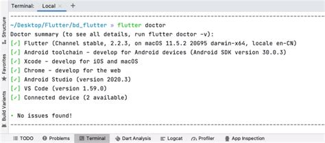 5分钟学会flutter开发 infoq 写作平台