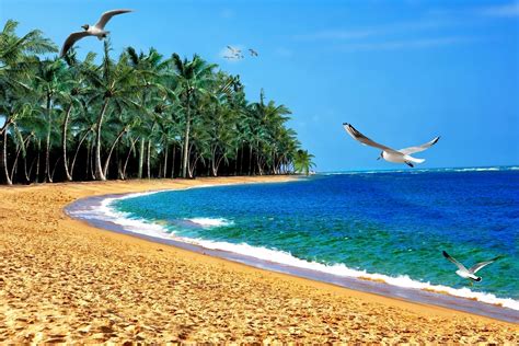 Free Images Beach Landscape Sea Coast Nature Sand Ocean Shore
