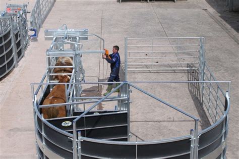 Rotex Portable Cattle Handling System Iae Agriculture