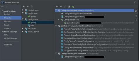 spring cloud config documentation and completion ides support
