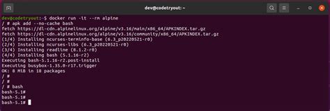 [solved] starting container process caused exec stat bin bash no