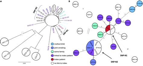 Bacpipe A Rapid User Friendly Whole Genome Sequencing Pipeline For