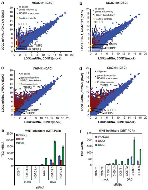 Inhibition Of The Dnmt Nurd Complex Leads To Reactivation Of Silenced