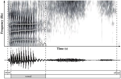 example spectrogram and waveform of bɛst acoustic onset and offset