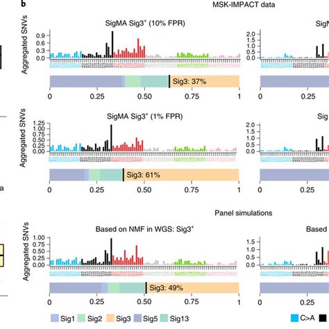 Validation Of Sigma On Msk Impact Data A Total Number Of Mutations In