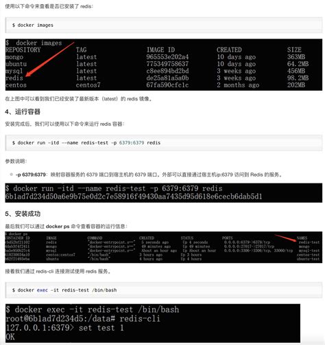 docker的安装与容器使用 redis为例 星海寻梦233 博客园