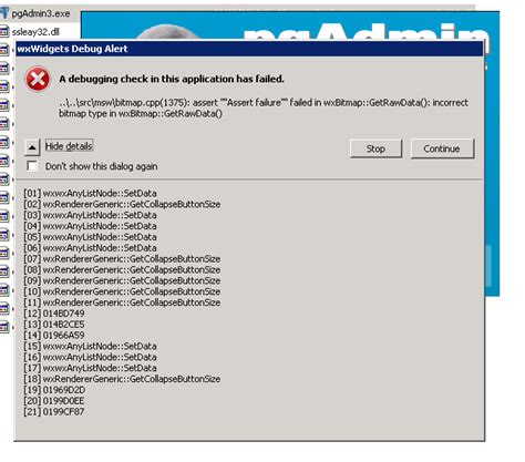 errors on launch a debugging check in this application has failed
