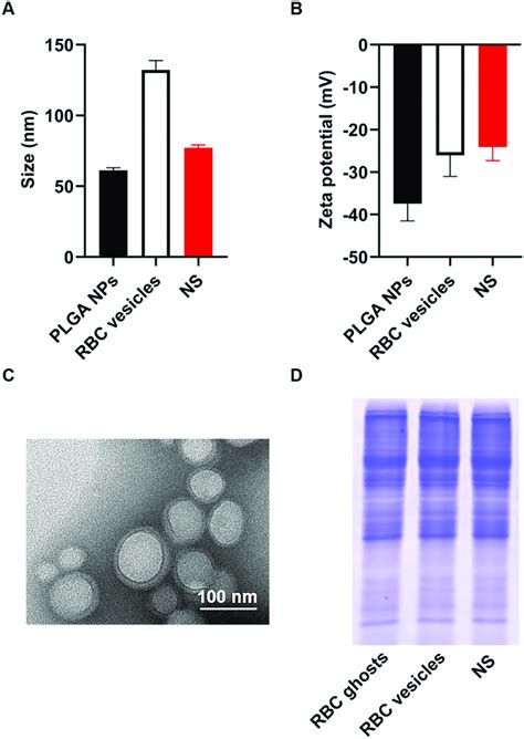 Characterization Of Nss A B Hydrodynamic Size And Zeta Potential Of
