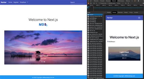 javascript next js globally imported styles in custom app js page
