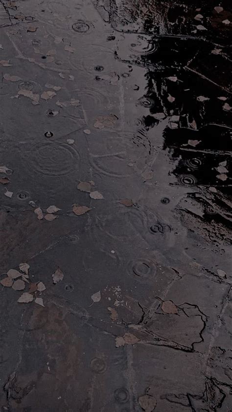You Will Fall Into An Instant Sleep Within 3 Minutes With Heavy Rain