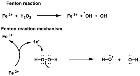 Stresses Free Full Text Chemistry Of Hydrogen Peroxide Formation