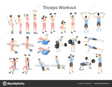 Bicep And Tricep Workouts With Barbell Eoua Blog