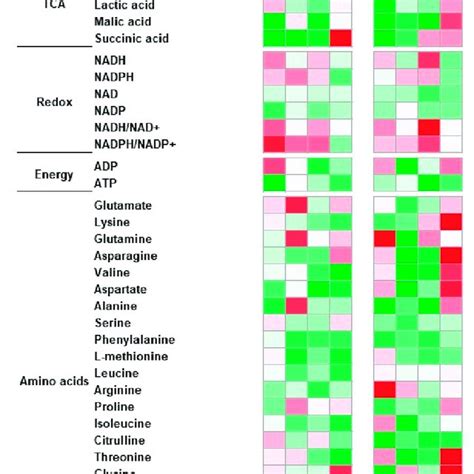The Comparison Of Intracellular Metabolites Produced By Ec1118 And Bdx