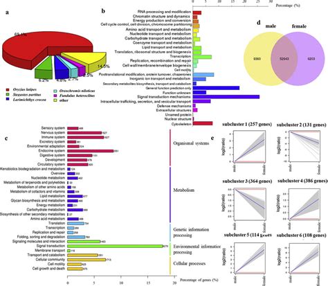 Species Classification A The Gene Classifications Are Shown