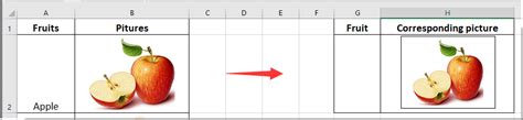 how to insert image or picture dynamically in cell based on cell value