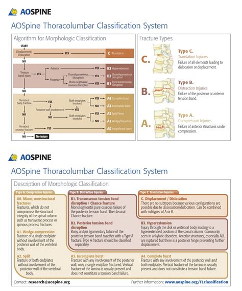 Aospine Thoracolumbar Classification System Pocket Card Pdf
