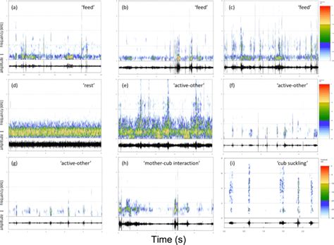acoustic recordings provide detailed information regarding the behavior