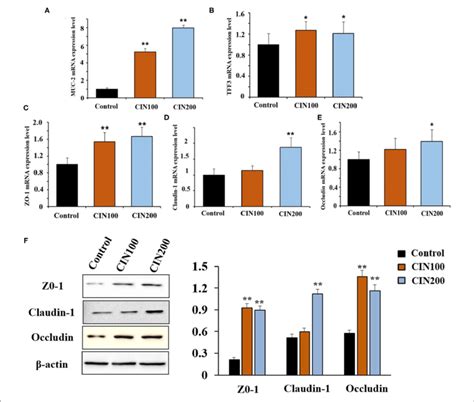 Cinnamaldehyde Supplementation Promotes The Mrna Levels Of Muc2