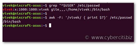 how do i find out what shell i am using on linux unix