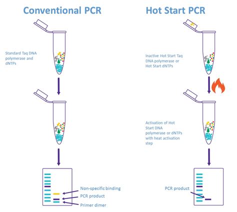 Conventional Pcr One Step Rt Pcr Or Two Step Real Time Rt Pcr Which