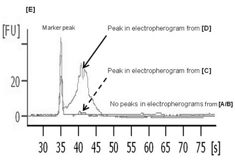 optimization of extraction of circulating rnas from plasma