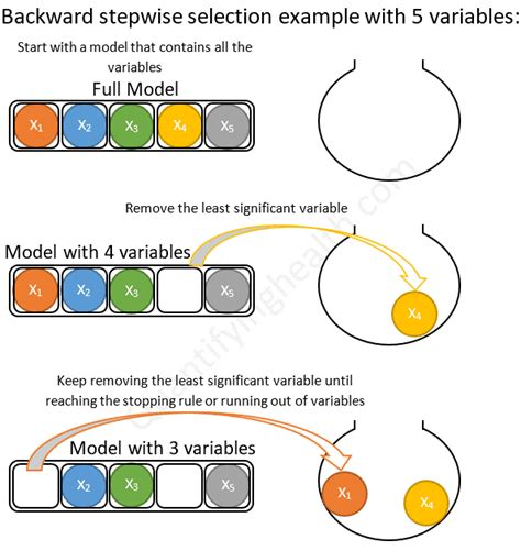 understand forward and backward stepwise regression quantifying health