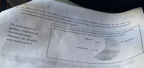 Se Estima Que En El Año 2015 Se Detuvieron A 67 000 Inmigrantes Menores