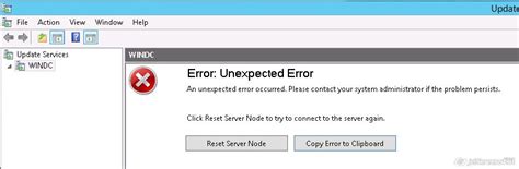 wsus error unexpected error hatası hakkında windows server