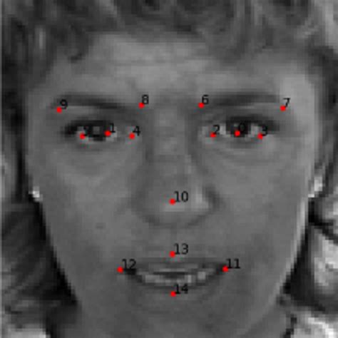 getting started with facial keypoint detection using deep