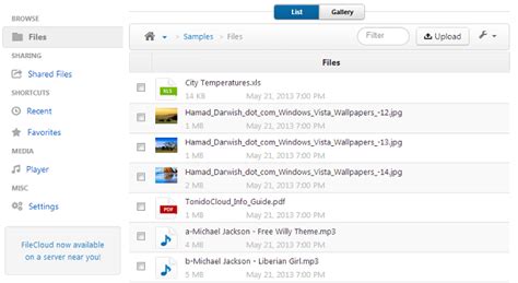 filecloud web access