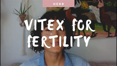Vitex For Fertility The Best Way To Use Vitex When Trying To Get