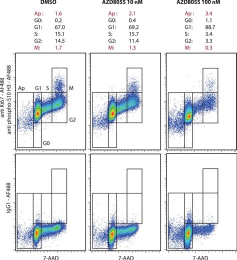 The Cells Were Stained With 7 Aad And Antibodies Anti Ki67 And