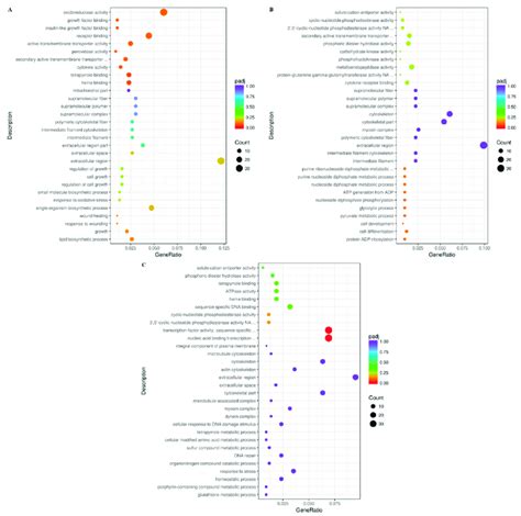 Go Function Classification Of The Differentially Expressed Genes Degs