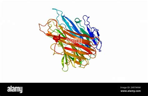Factor Protein Stock Videos And Footage Hd And 4k Video Clips Alamy