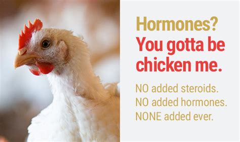 Steroid Chicken