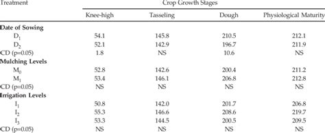 Effect Of Date Of Sowing Mulching And Irrigation Levels On The Dry