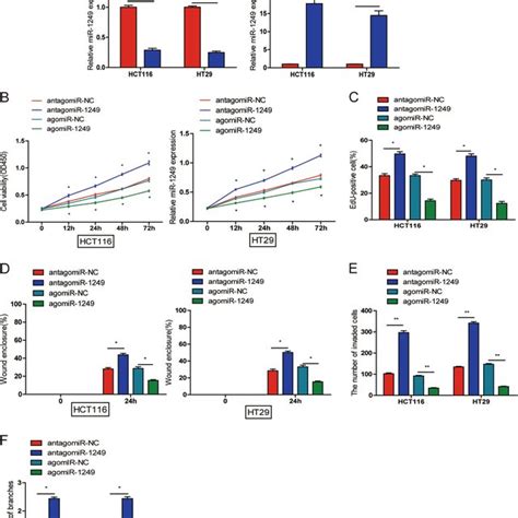 Mir 1249 Inhibited Crc Cell Proliferation Migration Invasion And