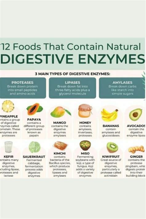 12 Best Digestive Enzymes Food Digestive Enzymes Digestion Simple