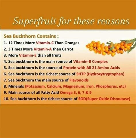Biosash Sea Buckthorn Juice 750ml Jiomart