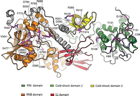 Biomolecules Special Issue Rna Binding Proteins—structure Function