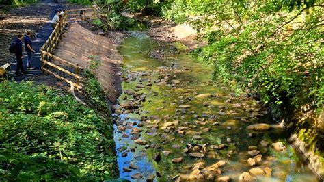 Breaking Down Barriers In The River Douglas Catchment Ribble Rivers Trust