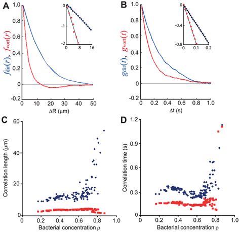 the spatial and temporal correlation functions a an example for ρ