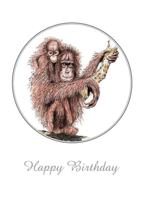 Orangutan Birthday Card Jinnee Bears Of Exeter