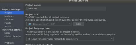 java intellij says the package does not exist but i can access the