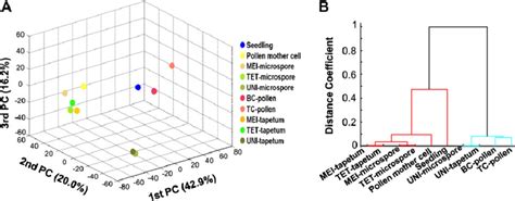 principal component analysis for gene expression data of