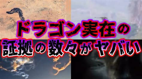 【ゆっくり解説】やっぱり伝説上の龍は実在した ドラゴン実在の恐るべき証拠について Youtube
