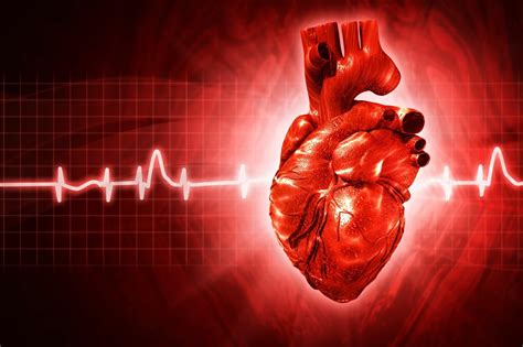 Presión Arterial Sistólica Y Diastólica En Qué Consisten Y Cómo Se