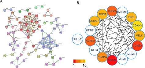 Identification Of A Five Gene Signature In Association With Overall